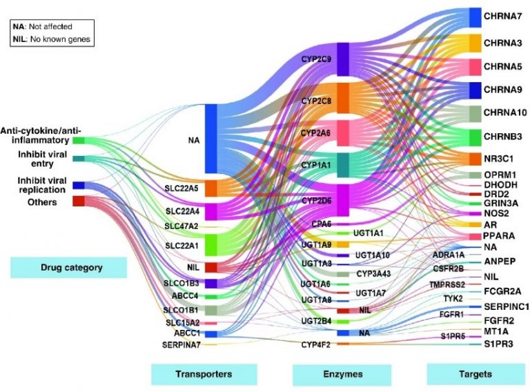 Tác động của Gene di truyền đối với hiệu quả điều trị bệnh COVID-19 ...